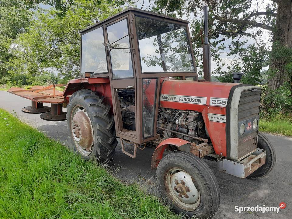 Massey Ferguson 255 Truskolas - Sprzedajemy.pl