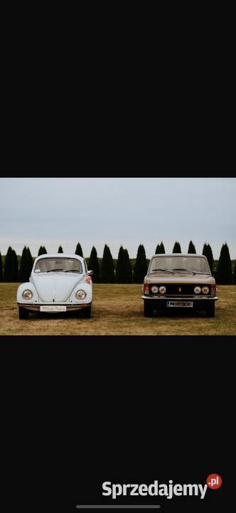 Samochód do ślubu Garbus oraz Fiat 125p Krotoszyn - Sprzedajemy.pl