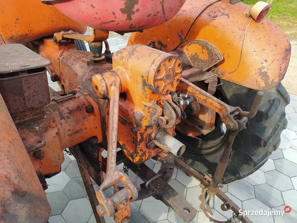 Allis Chalmers F272, Klasyk w fenomenalnym stanie. Białystok ...