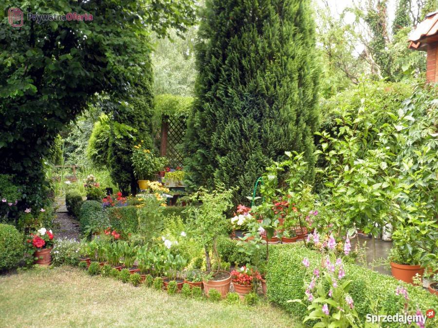 dom wolnostojący na sprzedaż 100m2 Inowrocław Piastowskie - Sprzedajemy.pl