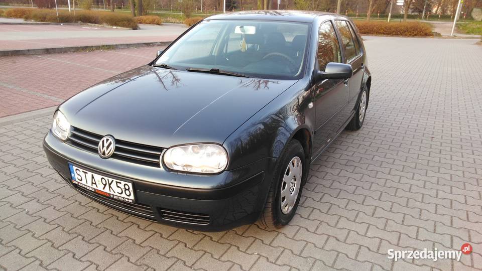 golf 4 bdb stan Pszczyna - Sprzedajemy.pl