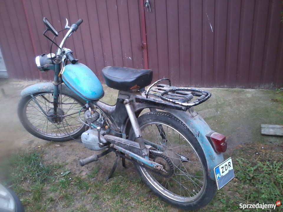 komar 3 z papierami +drugi na częsci Biały Zdrój - Sprzedajemy.pl