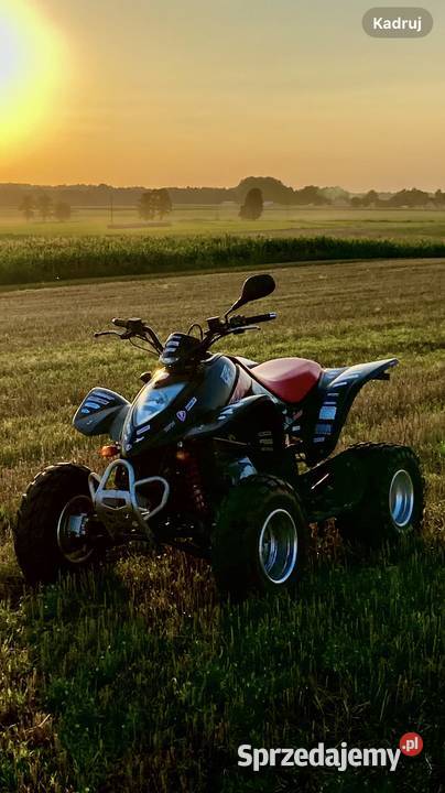 Kymco KXR 250 OPIS Rakoniewice - Sprzedajemy.pl