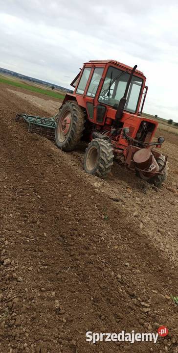 MTZ 52 Kraśnik - Sprzedajemy.pl
