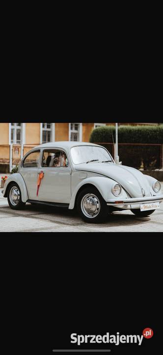 Samochód do ślubu Garbus oraz Fiat 125p Krotoszyn - Sprzedajemy.pl