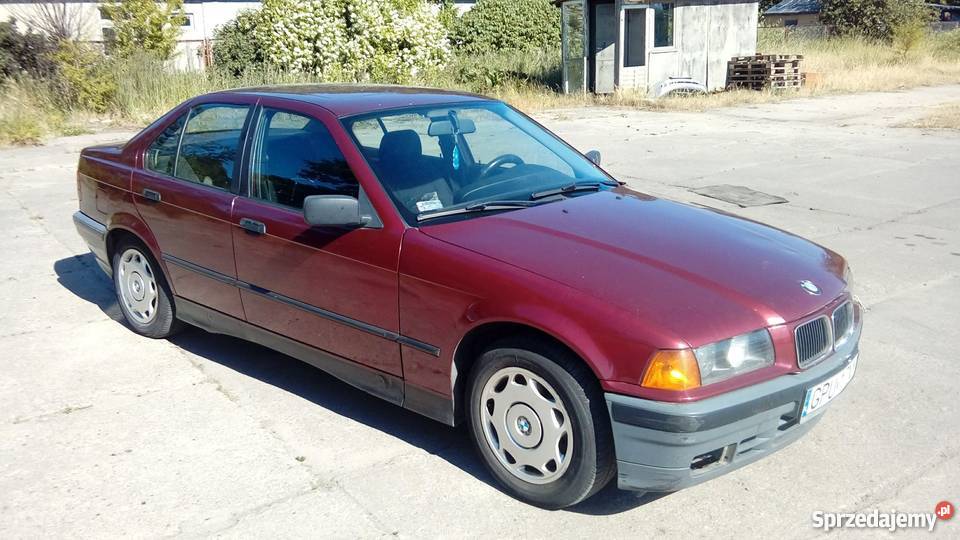 BMW e36 316 LPG OC i PT di konca lipca gaz 2021 Puck - Sprzedajemy.pl