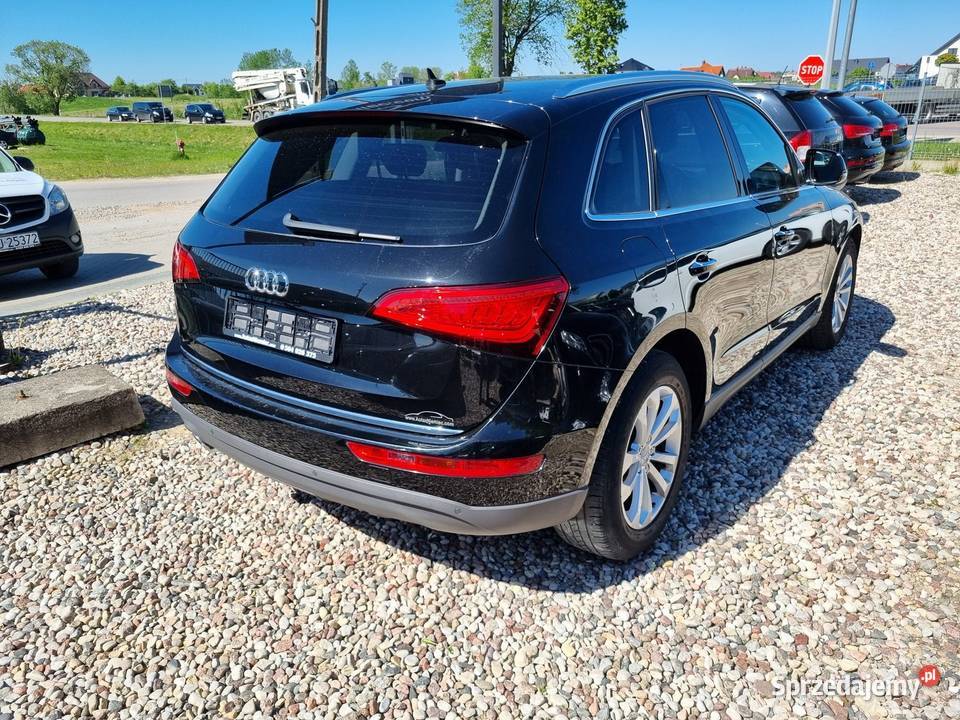 Audi Q5 2.0 TDI HAK Radar Kamera Skóra Nawigacja Bi Xenon Led Augustów ...