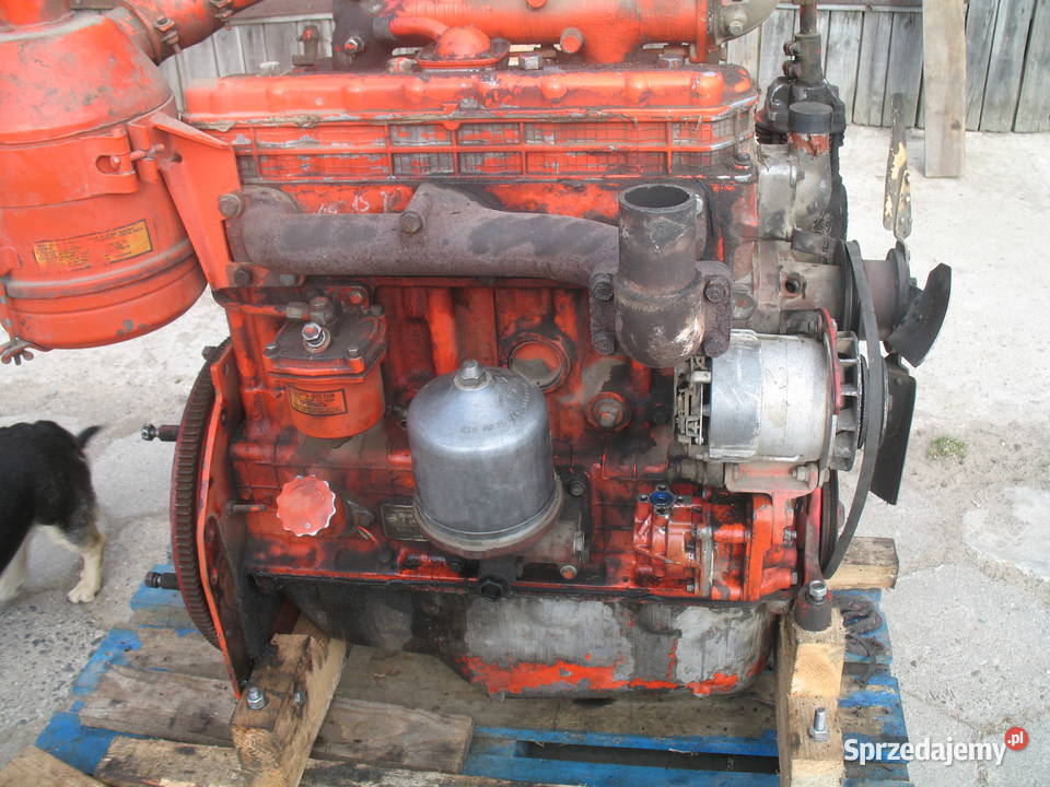 Silnik MTZ T 240 Bedlno - Sprzedajemy.pl