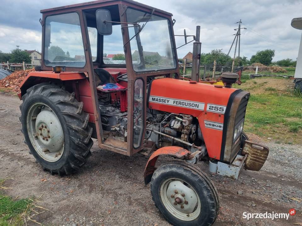 Sprzedam URSUS MF255 Grodków - Sprzedajemy.pl