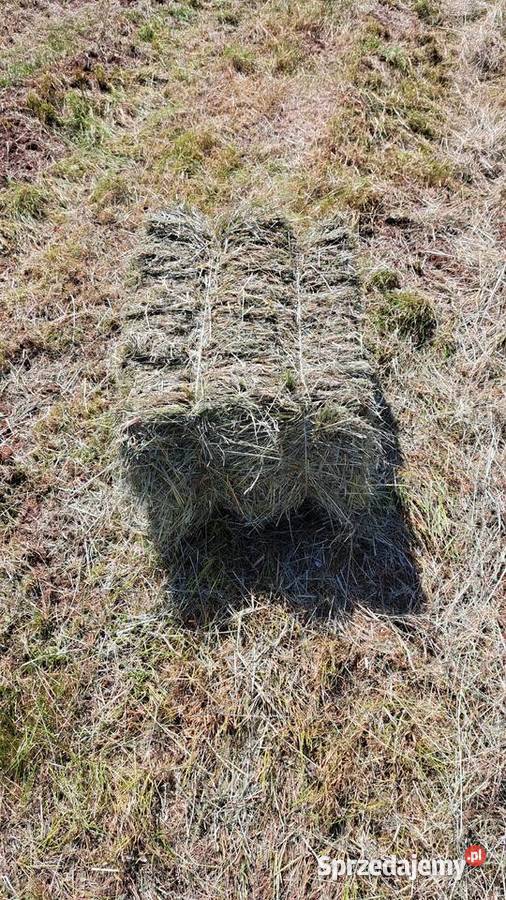 Siano w kostkach Cena do negocjacji Świlcza - Sprzedajemy.pl