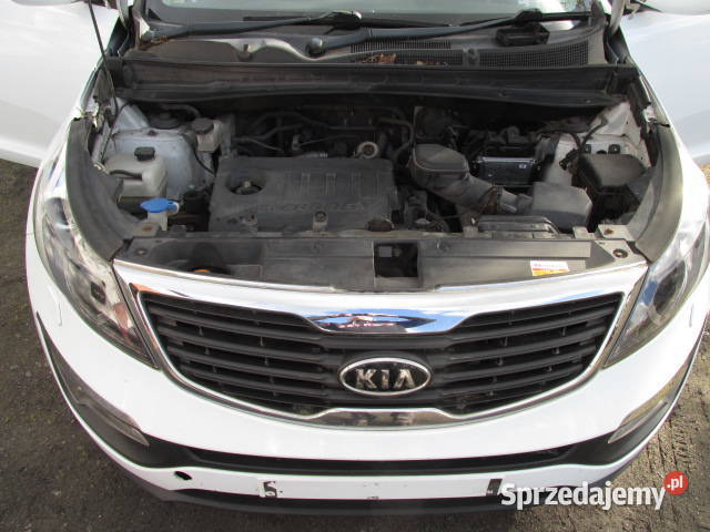WSZYSTKIE CZĘŚCI - Kia Sportage III 1.7 CRDI 16V 2010r. lak. WD - biały ...