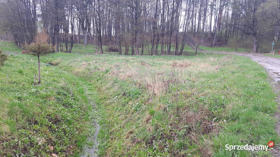 Dzialka na mazurach 800 m od jezioro Muntowo - Sprzedajemy.pl Dzialka na mazurach 800 m od jezioro Muntowo - Sprzedajemy.pl