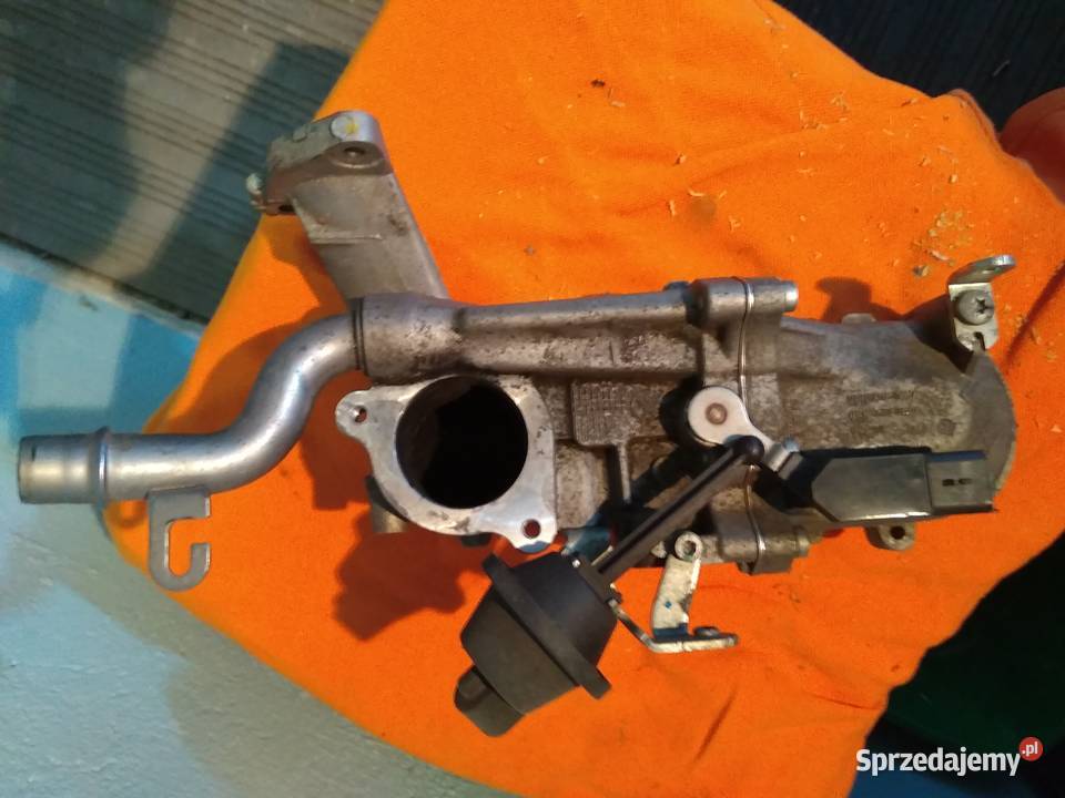 Ch odnica EGR Peugeot Citroen 1 6 E hdi Ostr w Wielkopolski