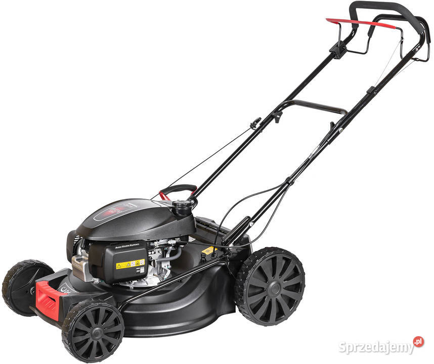 HONDA KOSIARKA SPALINOWA DO TRAWY CEDRUS KS53H Z NAPĘDEM 5w… Opalenica ... HONDA KOSIARKA SPALINOWA DO TRAWY CEDRUS KS53H Z NAPĘDEM 5w… Opalenica ...