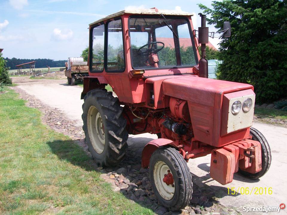 władimirec T25 "rusek" Janówka - Sprzedajemy.pl