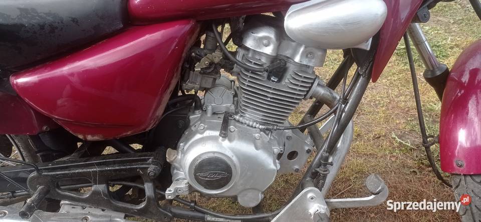 Chopper SMC Rex 125 silnik 125 kymco Sieradz - Sprzedajemy.pl