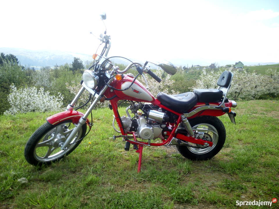 XIN TIAN, Motorower, Łoś 50 Czarny Potok - Sprzedajemy.pl