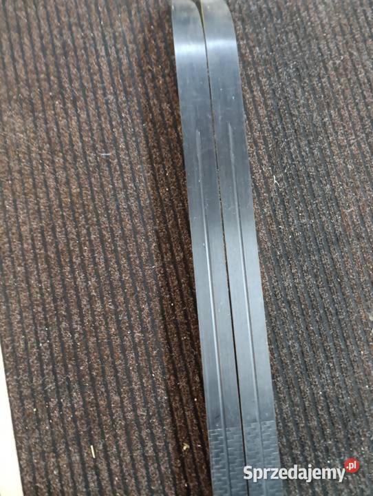 Narty Biegowe Fischer Werynia - Sprzedajemy.pl