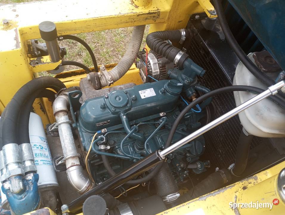 Przesadzarka Pazzaglia Fz80 Buk - Sprzedajemy.pl