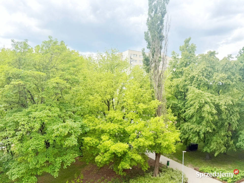 Stare Bielany: 3 pokoje do własnej aranżacji Warszawa - Sprzedajemy.pl