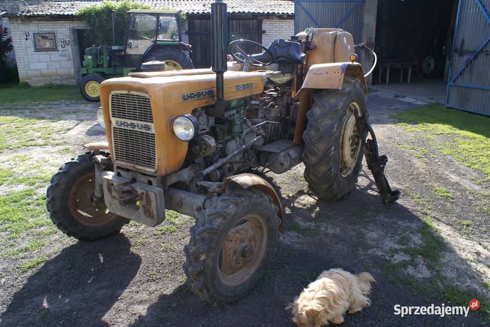 Ursus C-330 {Rezerwacja do 25.08.24} Niezabitów - Sprzedajemy.pl