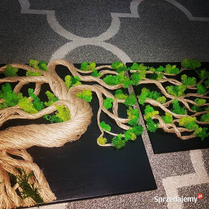 Drzewko szczęścia BONSAI, obraz mech chrobotek , na PREZENT Chełmno ... Drzewko szczęścia BONSAI, obraz mech chrobotek , na PREZENT Chełmno ...