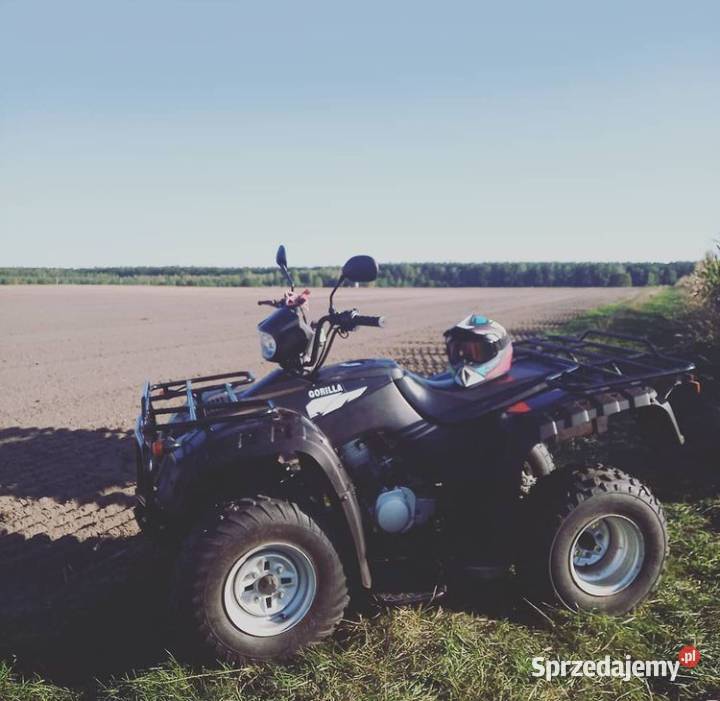 Quad Hsun Wołczyn - Sprzedajemy.pl