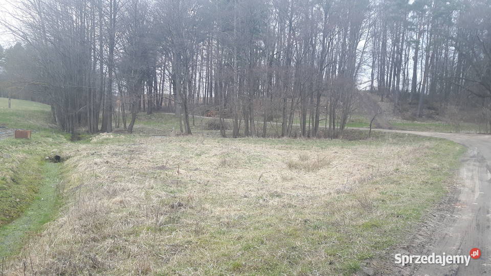 Dzialka na mazurach 800 m od jezioro Muntowo - Sprzedajemy.pl Dzialka na mazurach 800 m od jezioro Muntowo - Sprzedajemy.pl