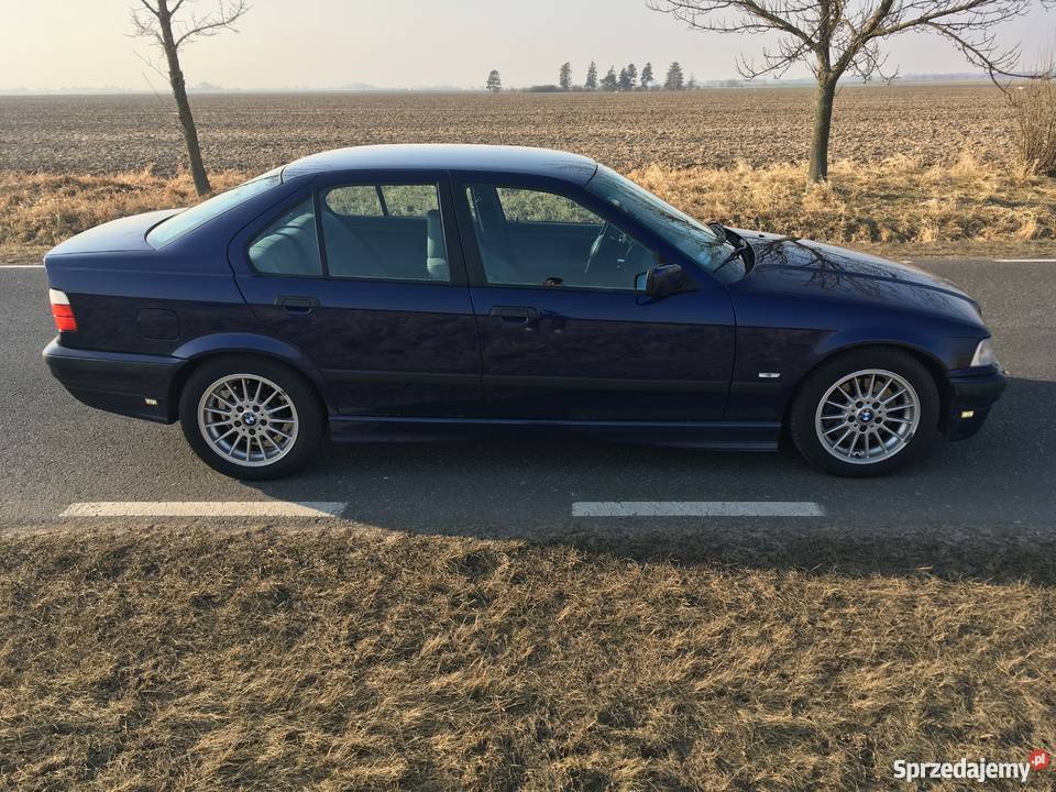 Bmw e36 330i 231hp individual Plewiska - Sprzedajemy.pl