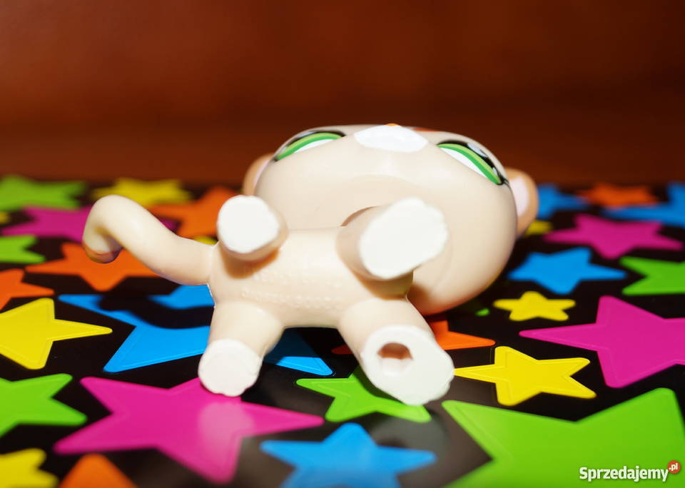 LPS shorthair UNIKAT #852 Littlest Pet Shop kot zielone oczy Czerwionka ...