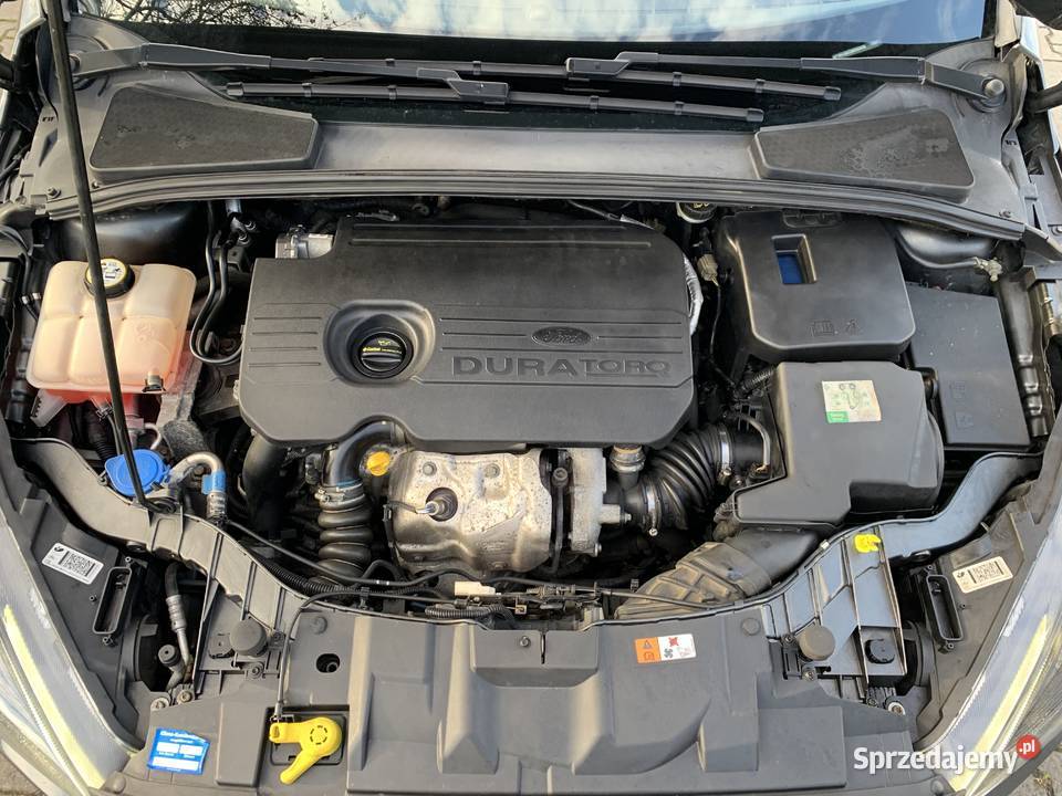 Ford Focus 1 5 Tdci Probleme
