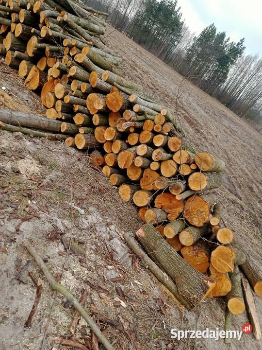Olszyna olcha metry opał Krzemienica - Sprzedajemy.pl