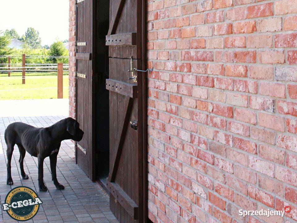 Płytki dekoracyjne na ścianę, lico wyrównane Świnoujście - Sprzedajemy.pl