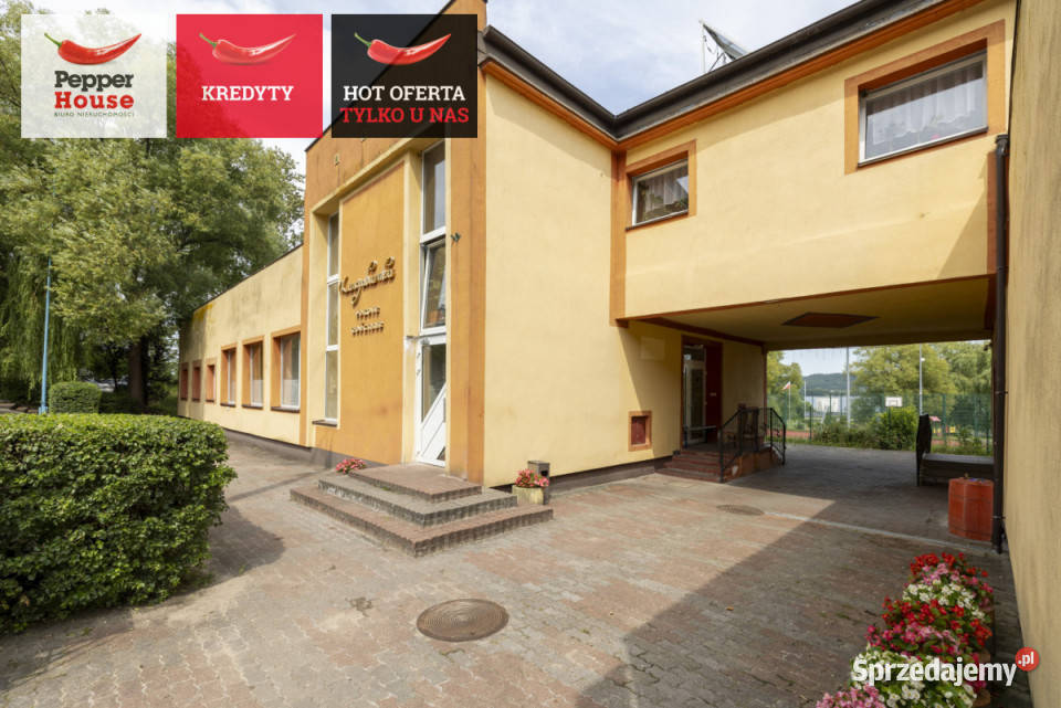 Lokal sprzedam 709m2 Czymanowo Promienna - Sprzedajemy.pl