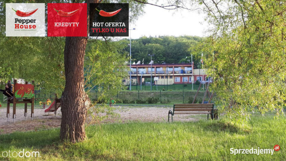 Lokal sprzedam 709m2 Czymanowo Promienna - Sprzedajemy.pl