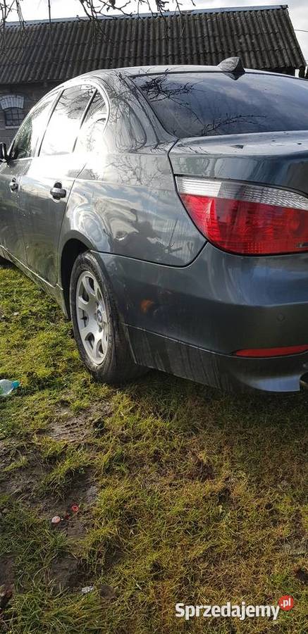 Bmw e60 520i Wólka Domaniowska - Sprzedajemy.pl