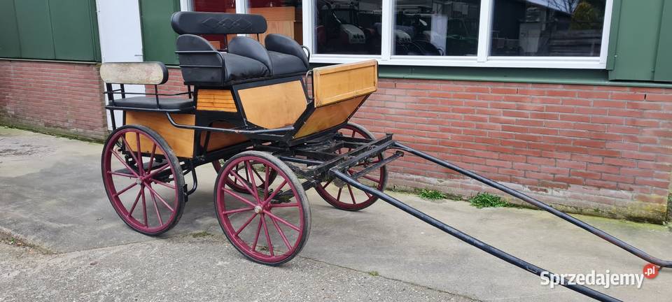 Bryczka do konia Turek - Sprzedajemy.pl
