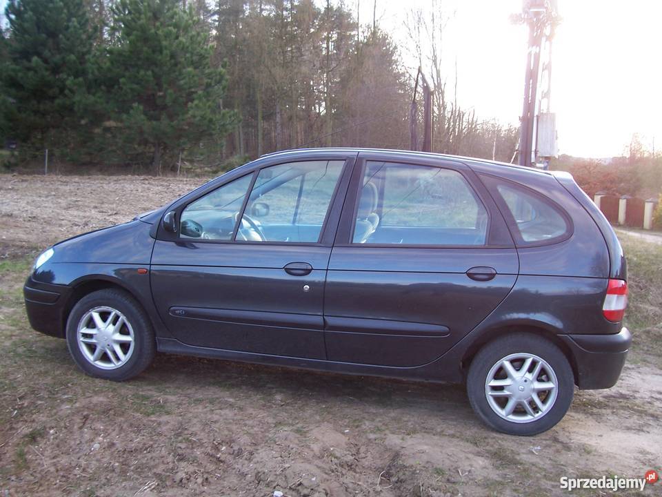 Renault Scenic 2002 rok Kaczek - Sprzedajemy.pl