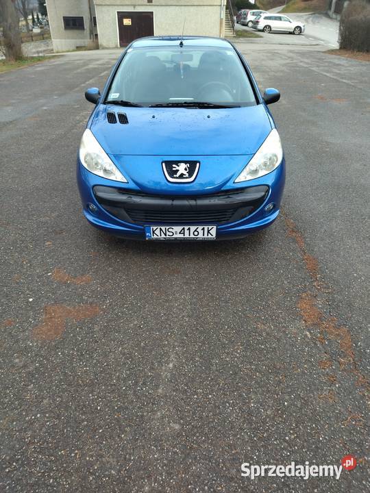 PEUGEOT 206 PLUS Wielogłowy - Sprzedajemy.pl