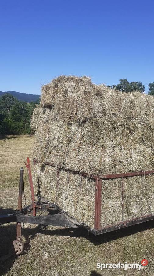 Siano słoma w kostkach Piekiełko - Sprzedajemy.pl