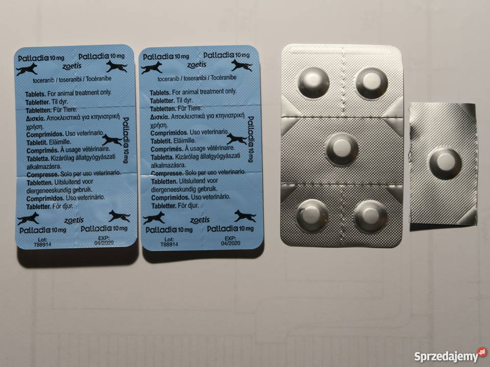 Palladia 10 mg - lek onkologiczny dla psów i kotów Warszawa ...