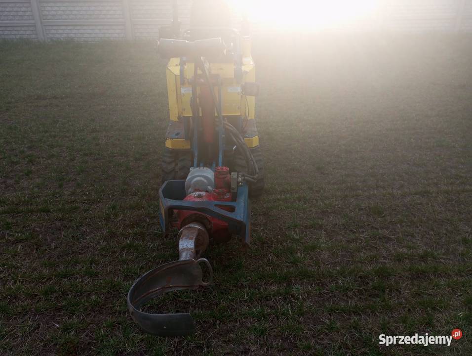 Przesadzarka Pazzaglia Fz80 Buk - Sprzedajemy.pl