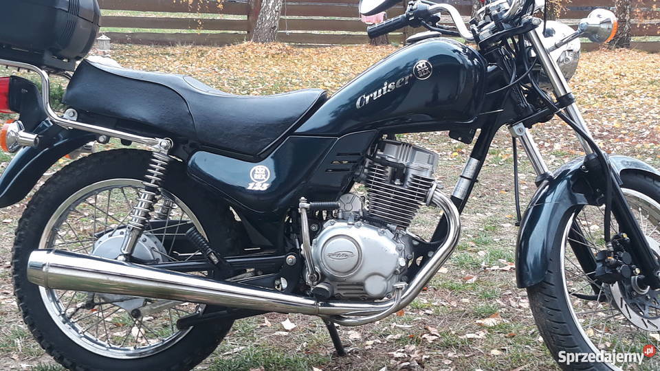 Niemiecki Motocykl Rex Cruiser 125 kat. B. 7000 km chopper Mieszkowice ...