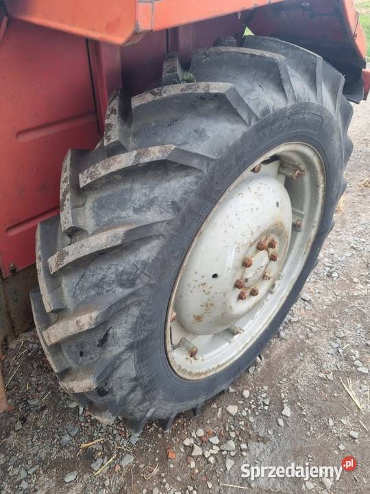 Sprzedam URSUS MF255 Grodków - Sprzedajemy.pl