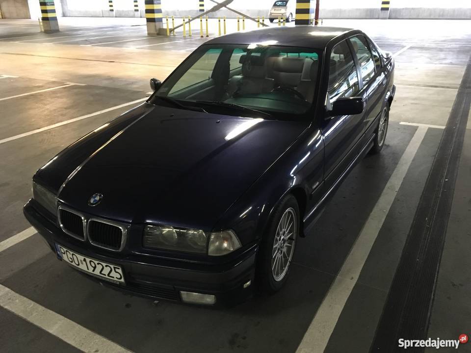 Bmw e36 330i 231hp individual Plewiska - Sprzedajemy.pl