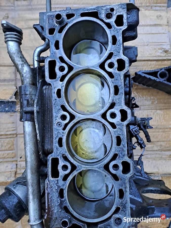 Opel Astra H Vectra C Zafira B 1.8 16V silnik kod Z18XER Jastrzębie ... Opel Astra H Vectra C Zafira B 1.8 16V silnik kod Z18XER Jastrzębie ...