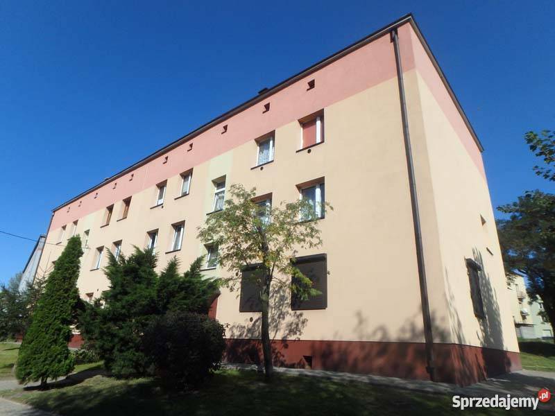 38 m2 - Zabrze Helenka - blisko ŚUM - Sprzedajemy.pl