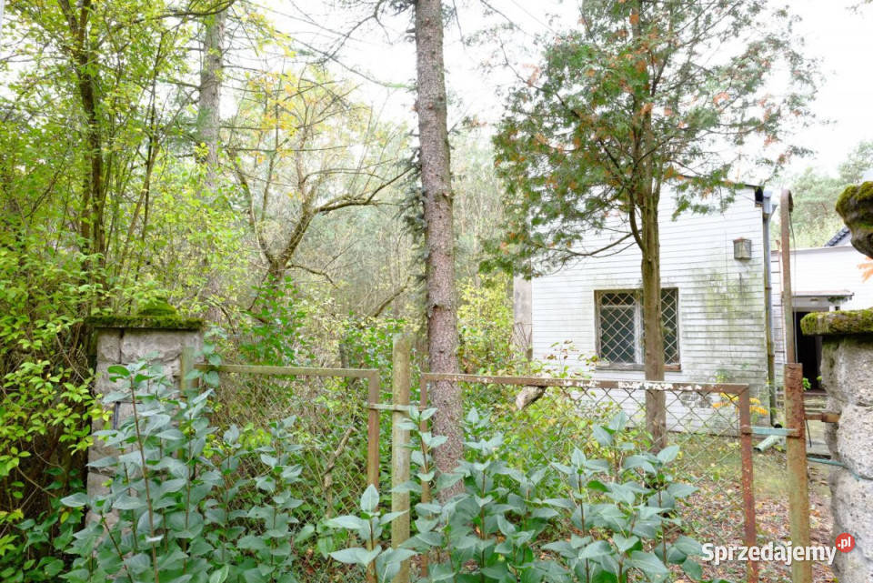 Dom do REMONTU w Lesie; Białołęka Dworska Warszawa - Sprzedajemy.pl