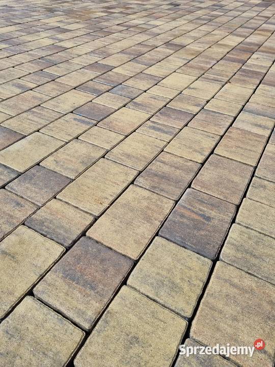 Kostka brukowa Akropol PREMIUM kostka dekoracyjna OKAZJA Tarnów - Sprzedajemy.pl