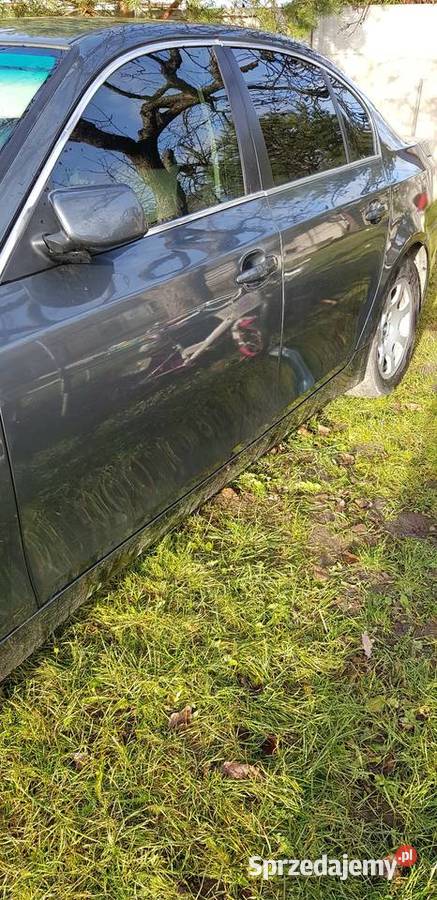 Bmw e60 520i Wólka Domaniowska - Sprzedajemy.pl